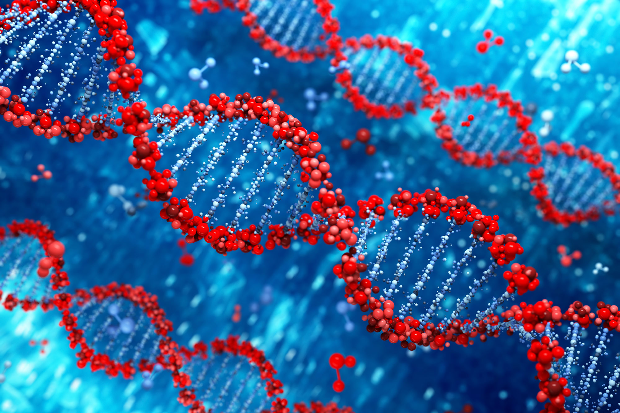 How Genomic Profiling is Guiding Cancer Treatment : Cancer Research Blog